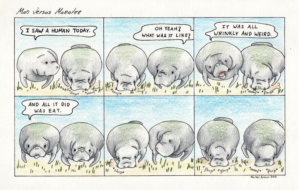 Wrinkly and Weird – Man versus Manatee