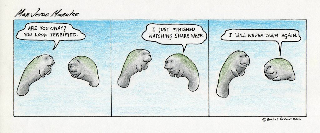 The Aftermath of Shark Week – Man versus Manatee