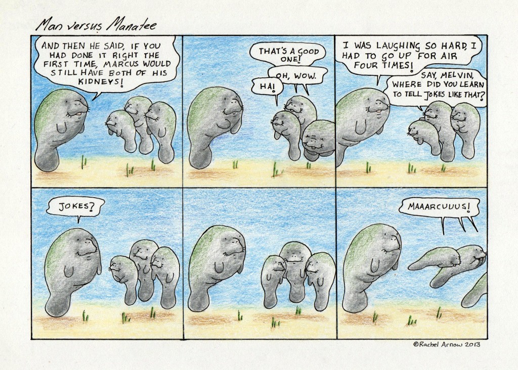 Story Time – Man versus Manatee