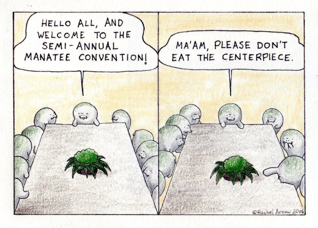 Manatee Convention – Man versus Manatee