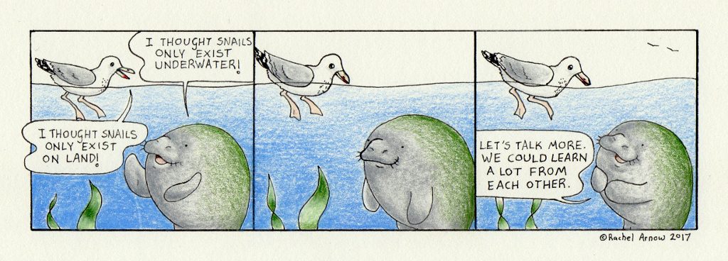 A Lot to Learn – Man versus Manatee